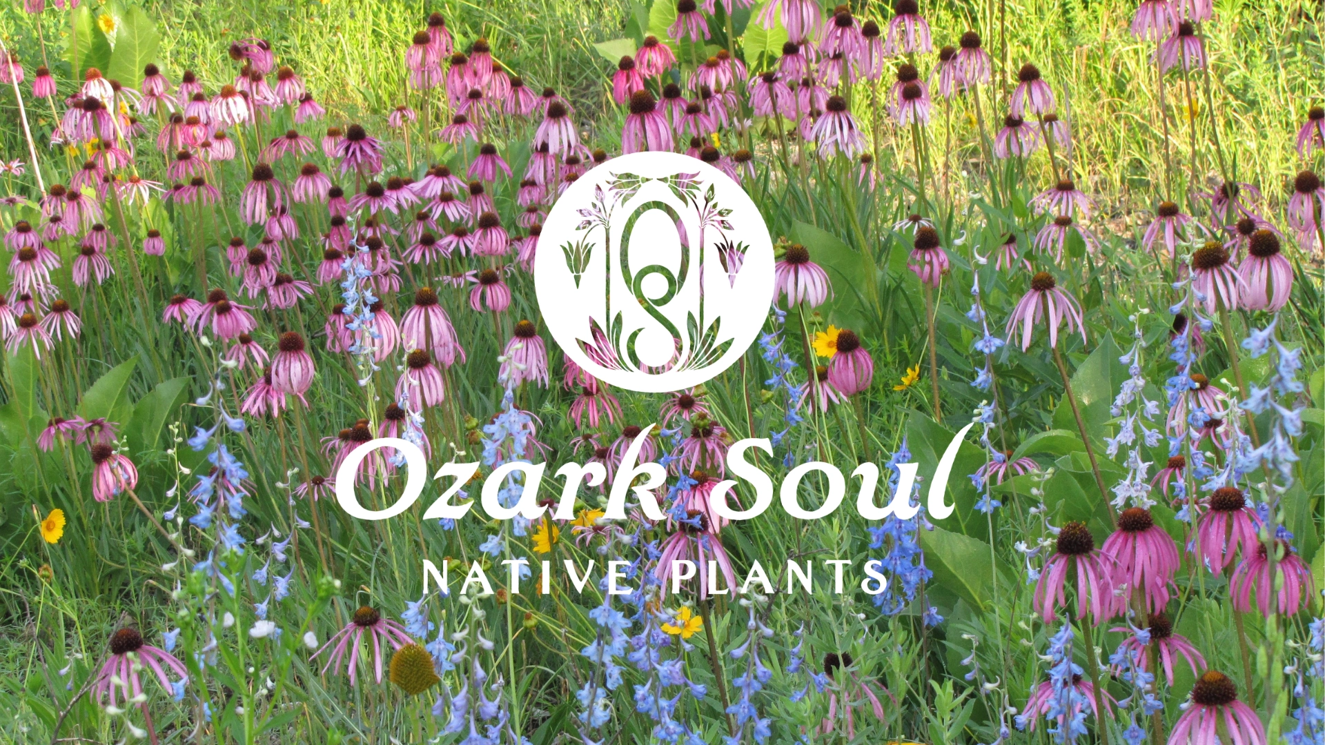 OZARK SOUL | Regional Native Plant Producer